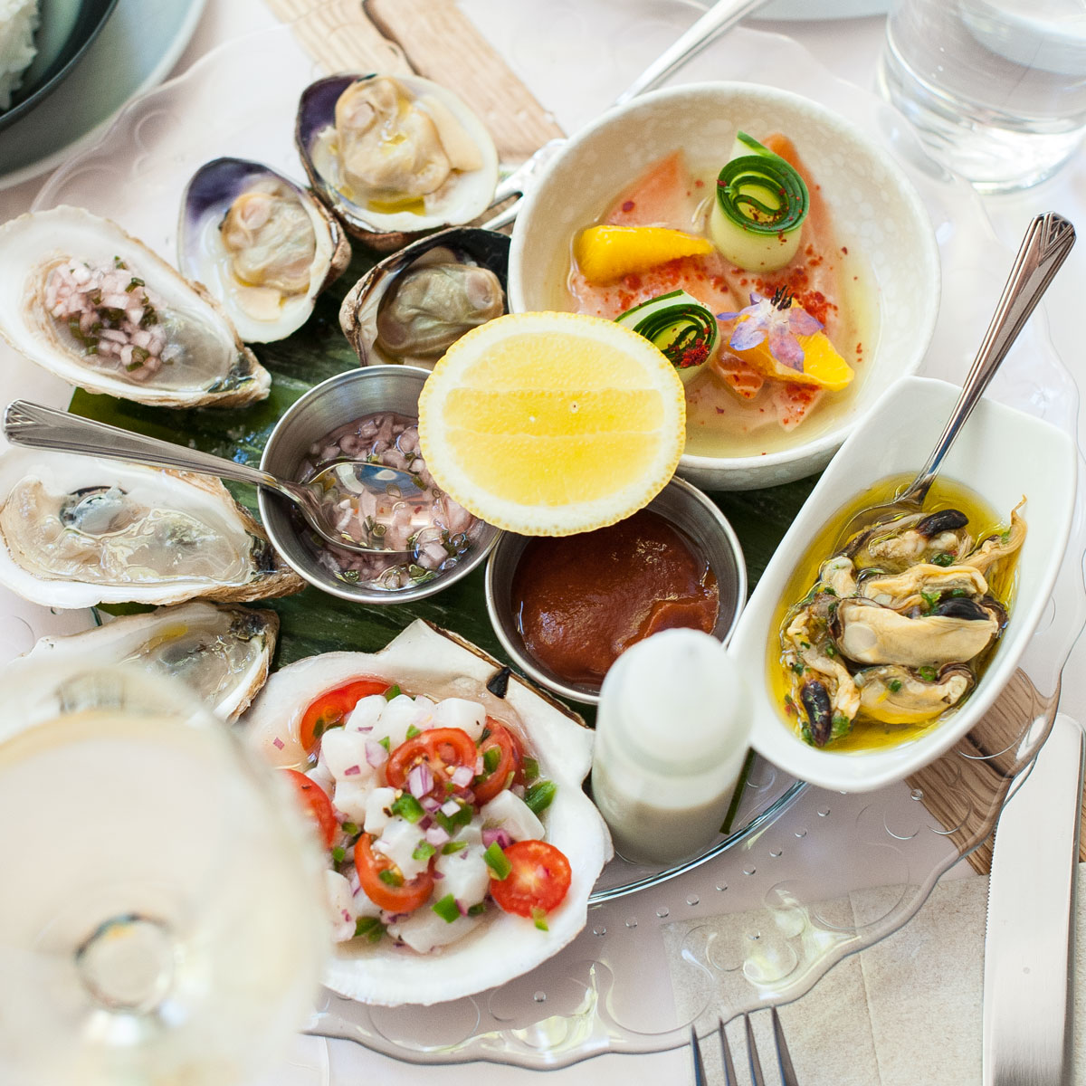 The Ostrich Club – Live Fast. Die Yum.