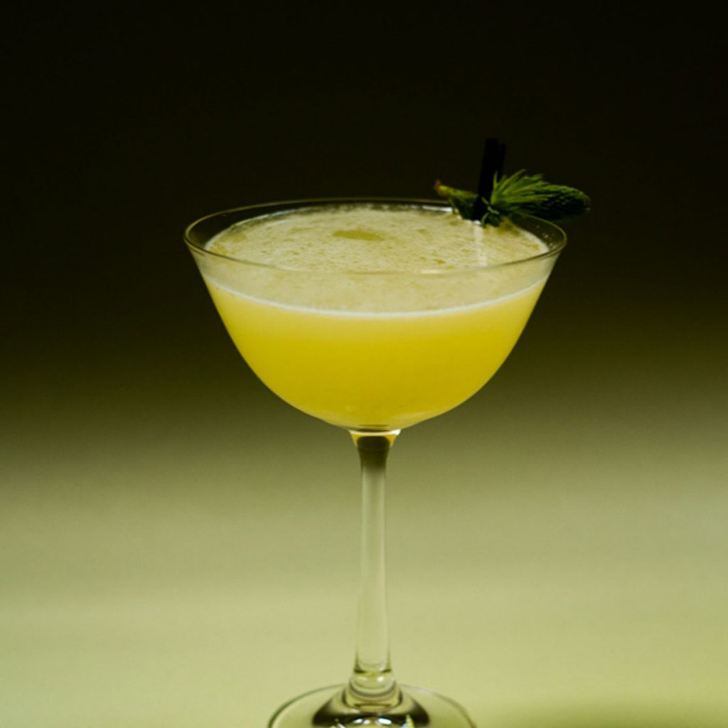 The Ostrich Club – Live Fast. Die Yum.